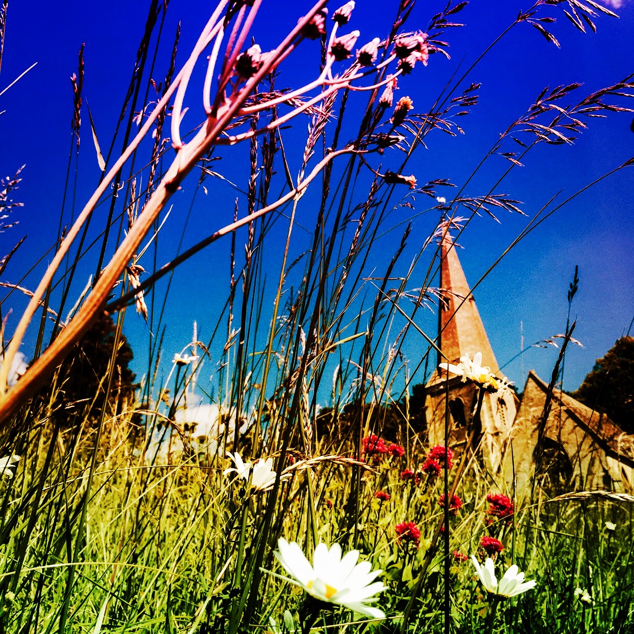 There’s No Free Ride | MKW Publishing