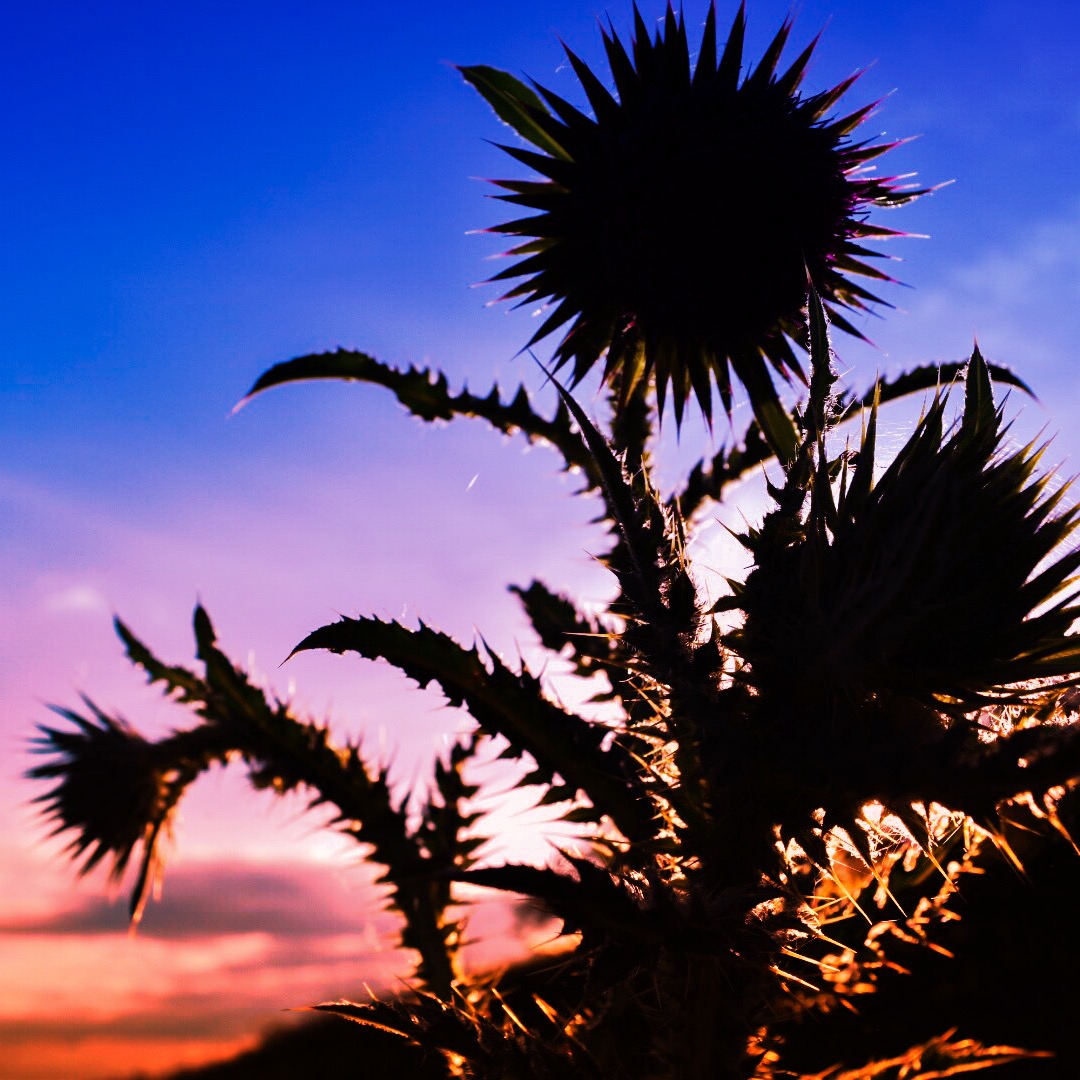 A Weak System | MKW Publishing