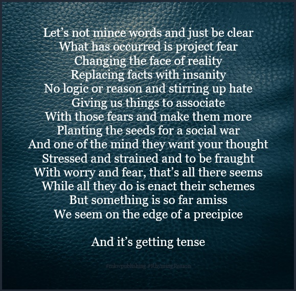 Let’s not mince words (Rhyming Reason) | MKW Publishing