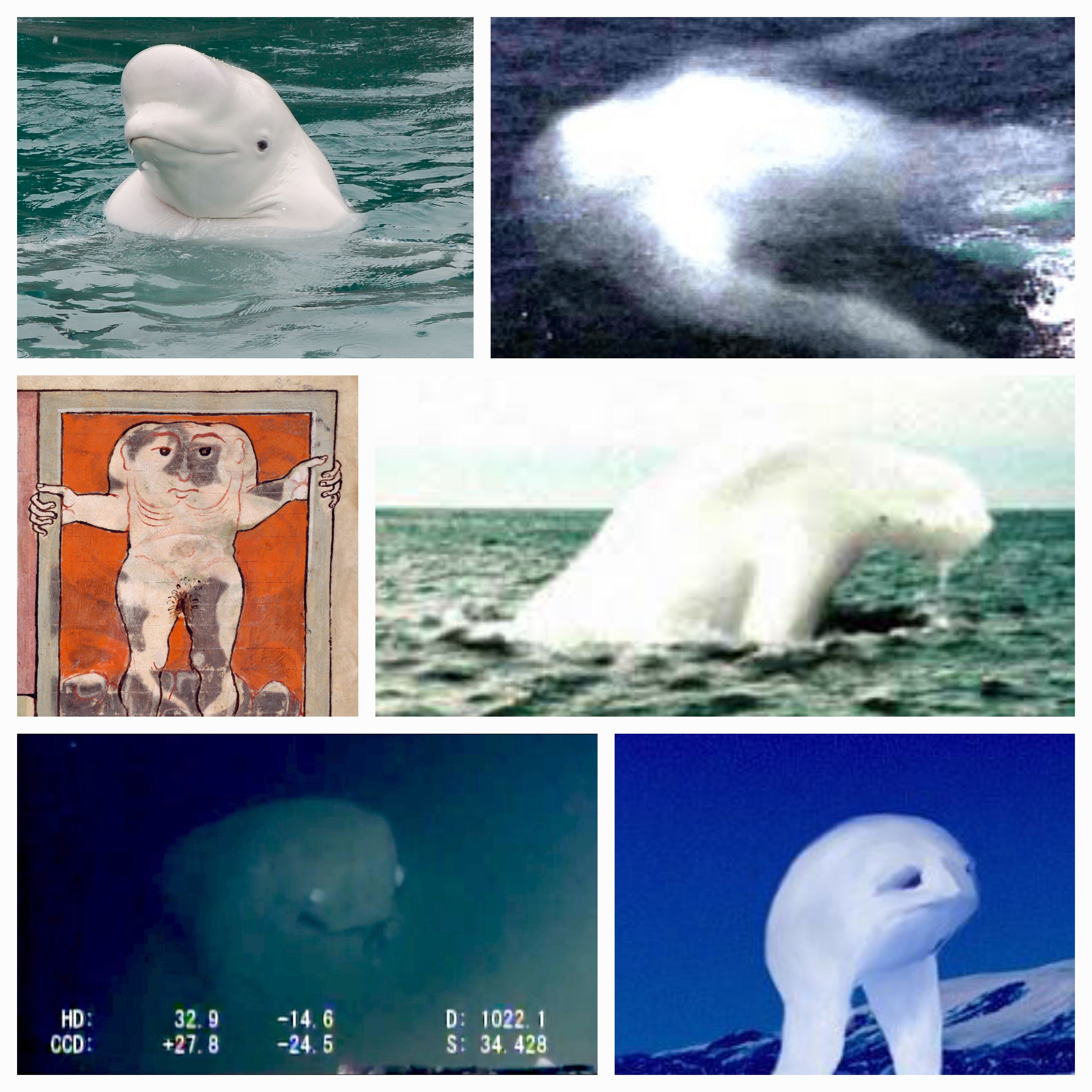 Ningen | MKW Publishing