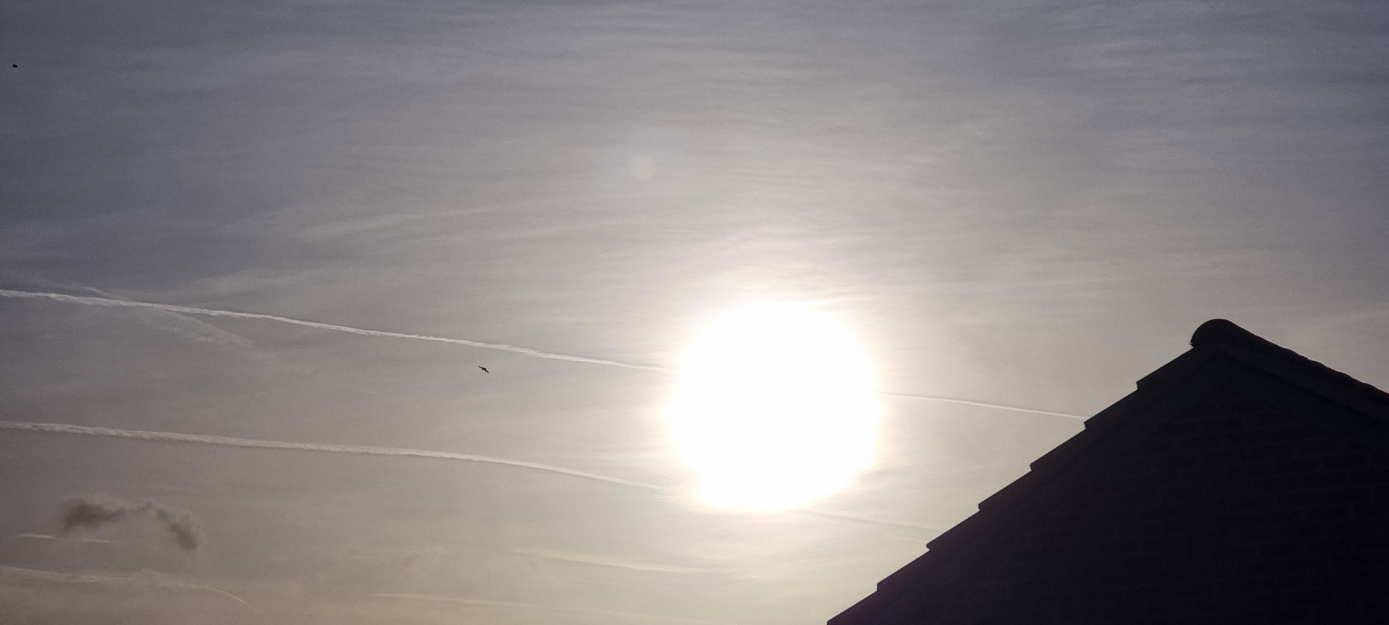 Trying to be sunny – 23.02.26 | MKW Publishing